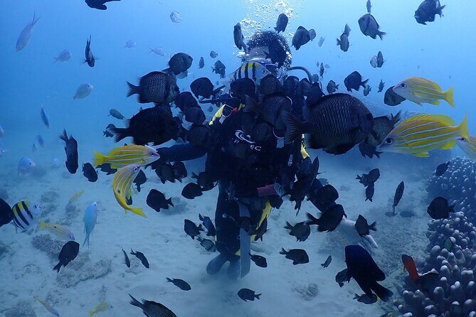 Private 6 Day Tour in South Taiwan - Who Would Enjoy This Tour?