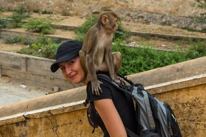 Private 6 Hours: Jaipur Temples Tour - Frequently Asked Questions