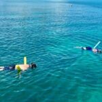 Private 6-person Sandbar & Snorkeling Charter - Practical Details & Tips for Future Travelers