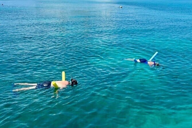 Private 6-person Sandbar & Snorkeling Charter - Practical Details & Tips for Future Travelers