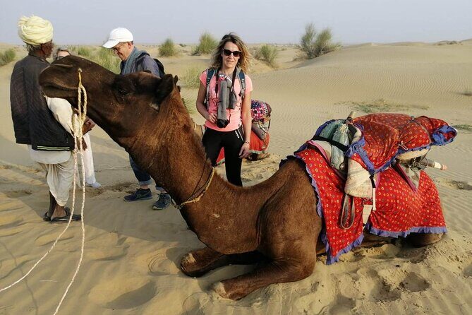 Private 8 Day Golden Triangle Tour with Royal Rajasthan - The Value of This Tour