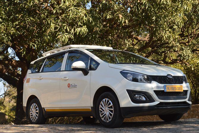 Private A/c Mount Abu Fullday Local Sight seeing ( 6 Seat A/c Suv) - Insights from Reviews