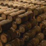 Private Adventure Day Tour to Tequila and Cazcanes Distillery - The Detailed Experience: What You Can Expect