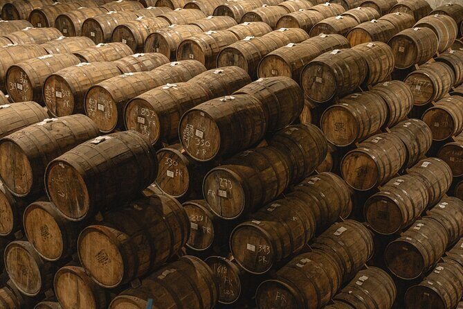 Private Adventure Day Tour to Tequila and Cazcanes Distillery - The Detailed Experience: What You Can Expect