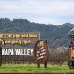 Private Airport Transfer From SFO to Napa Valley - What to Expect During Your Transfer