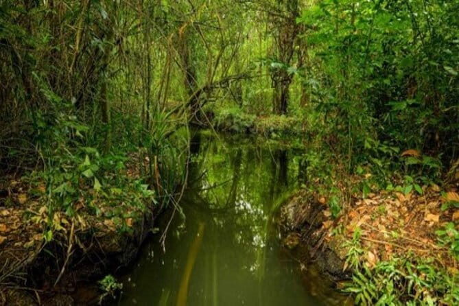 Private Alleppey Backwater Houseboat Day Cruise including Lunch - Price Analysis and Value