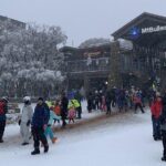 Private Alpine Day Tour from Melbourne to Mount Buller - The Itinerary in Detail