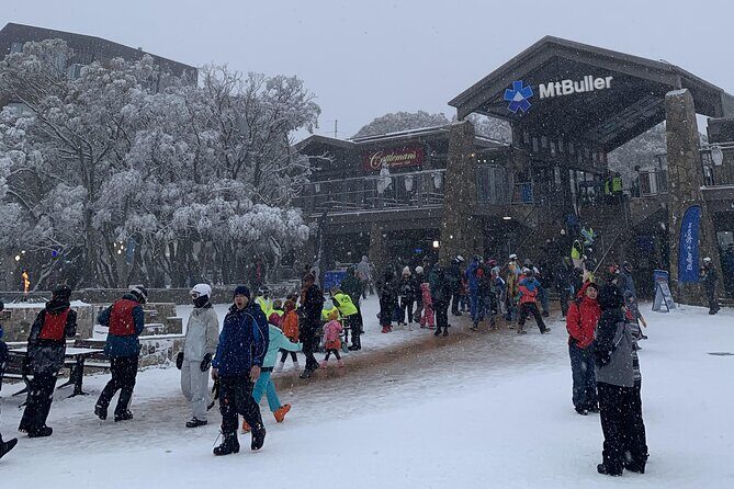 Private Alpine Day Tour from Melbourne to Mount Buller - The Itinerary in Detail
