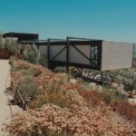 Private and custom group Wine tour Valle de Guadalupe - What to Expect at Wineries