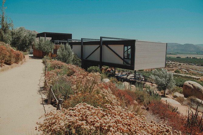 Private and custom group Wine tour Valle de Guadalupe - What to Expect at Wineries