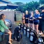 Private and Personalized Scuba Diving Adventures for All Experience Levels - The Meeting Point & Duration