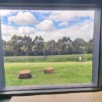 Private and Tailored Mornington Peninsula Wine Tour - Who Will Love This Tour?
