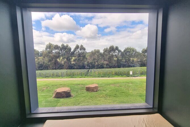 Private and Tailored Mornington Peninsula Wine Tour - Who Will Love This Tour?