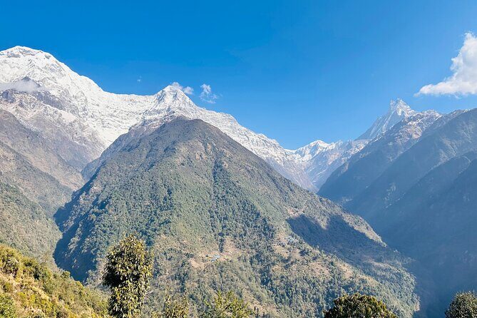 Private Annapurna Base Camp Trek - What You’ll Love About This Trek