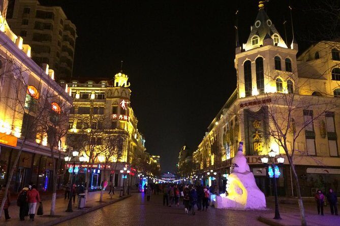 Private Arrival Transfer from Harbin West Railway Station to Harbin City Hotel - Practical Tips for Your Transfer