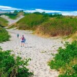 Private Arrival Transfer - Nadi Airport to Wyndham Resort - Reading the Reviews: What Travelers Say