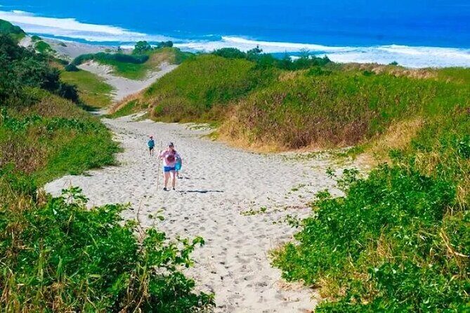 Private Arrival Transfer - Nadi Airport to Wyndham Resort - Reading the Reviews: What Travelers Say
