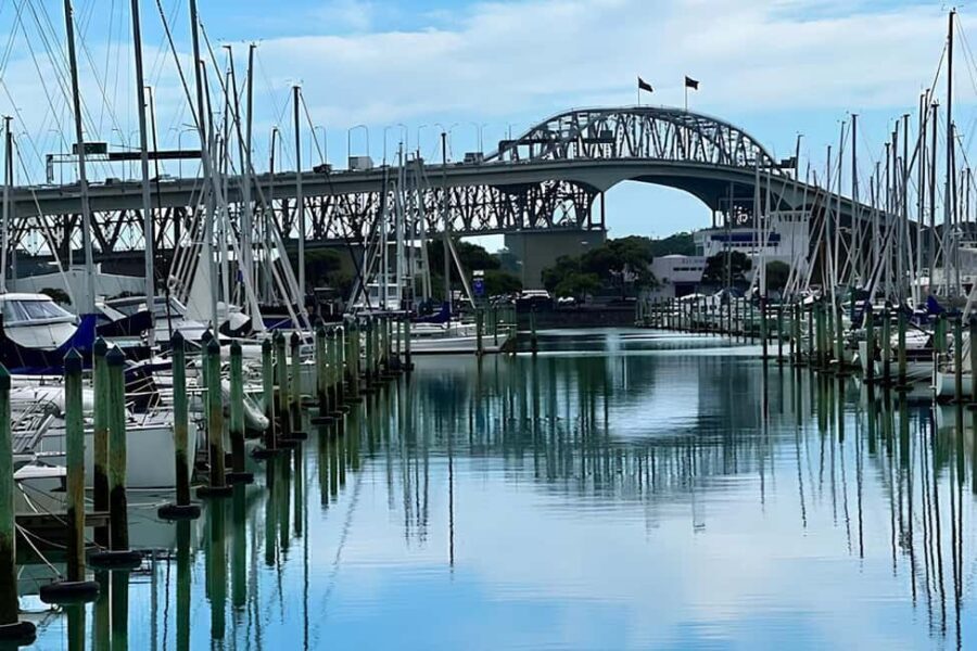 Private Auckland Best Top 5 Spots Half day Tour - Who Should Consider This Tour?