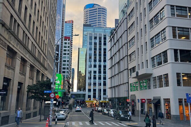 Private Auckland City Tour Including Auckland Tour House Visit - Value and Practicality