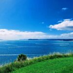 Private Auckland Highlight Day Tour - What’s Included & What’s Not?