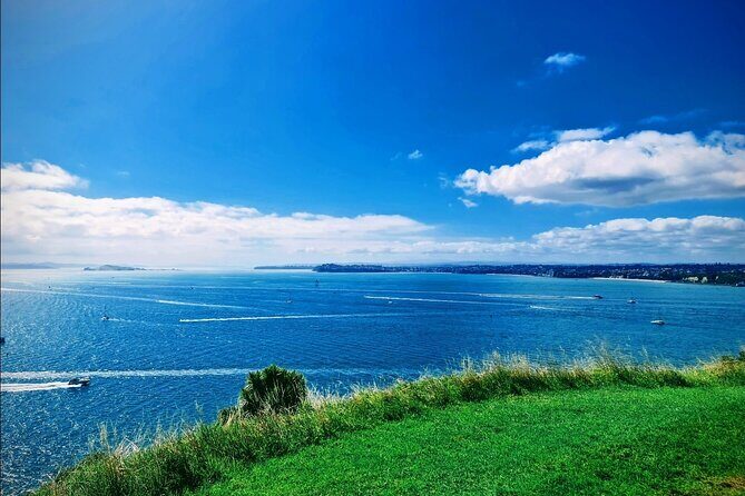 Private Auckland Highlight Day Tour - What’s Included & What’s Not?