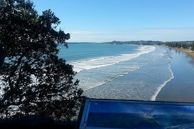 Private Auckland North Eastern Coast Tour - The Experience at Each Stop