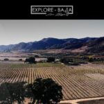PRIVATE BAJA WINERIES EXPERIENCE (Transportation,concierge,custom schedule) - From Ensenada to the Heart of Baja’s Vineyards
