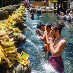 Private Bali Tour - All Inclusive - Stop 2: Tegalalang Rice Terrace