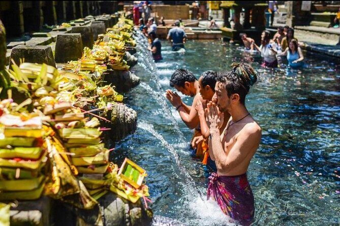 Private Bali Tour - All Inclusive - Stop 2: Tegalalang Rice Terrace