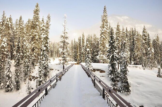 Private Banff and Yoho National Park Tour with Moraine Lake - FAQs