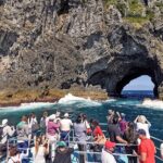 [PRIVATE] Bay of Islands Discovery From Auckland - The Practicalities and What You Should Know