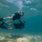 Private Beginner Scuba Diving Experience in Cabo San Lucas - What You Can Expect: The Itinerary in Detail