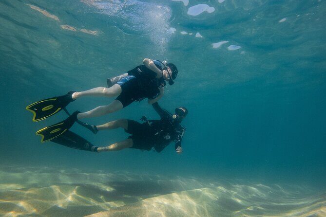 Private Beginner Scuba Diving Experience in Cabo San Lucas - What You Can Expect: The Itinerary in Detail