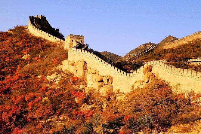 Private Beijing Airport Layover Tour With Mutianyu Great Wall Including Lunch - Why This Tour Is a Great Choice