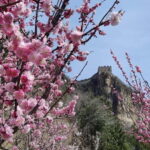 Private Beijing English Driver With 3 Section Great Walls - Is This Tour Worth the Price?
