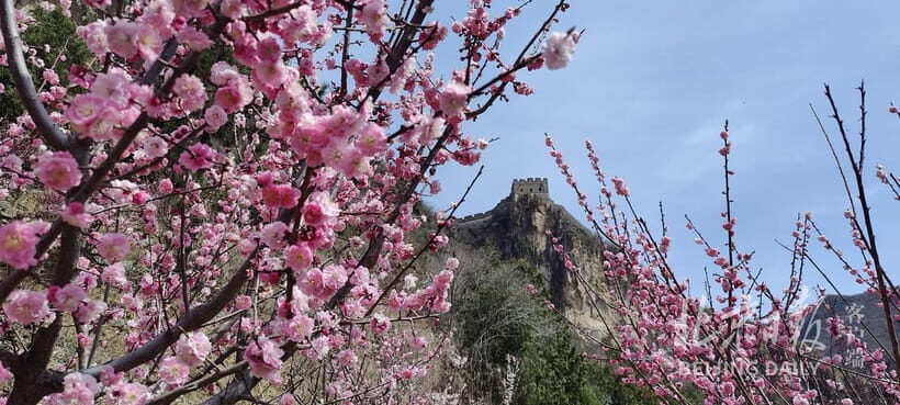 Private Beijing English Driver With 3 Section Great Walls - Is This Tour Worth the Price?
