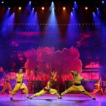 Private Beijing Evening Tour: Roast Duck & Kungfu Show - Why Consider This Tour?