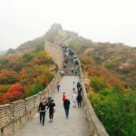 Private Beijing Mutianyu Great Wall Tour - A Taste of Chinese Culture: Lunch and Tea Ceremony