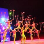 Private Beijing Night Tour: Acrobatic Show and Peking Duck Dinner - Who Should Consider This Tour?