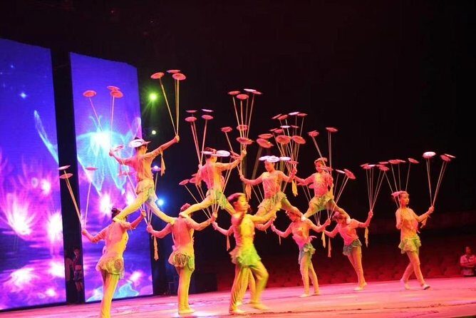 Private Beijing Night Tour: Acrobatic Show and Peking Duck Dinner - Who Should Consider This Tour?