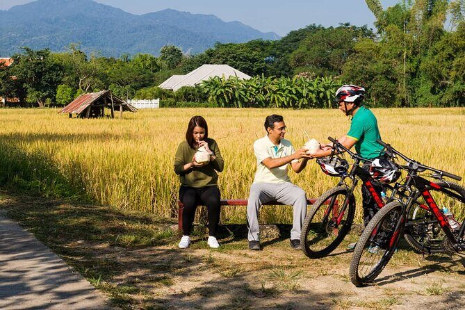 Private Bicycle Tour to Chiang Mai and Thai Cooking Class - Authenticity and Local Flavor: What Travelers Say