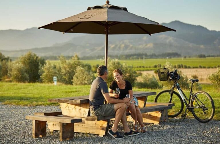 Private Biking Wine Tour (Full Day) Marlborough Region - The Itinerary in Detail