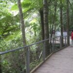 PRIVATE Blue Mountains day tour with local guide. - Value and Practical Considerations