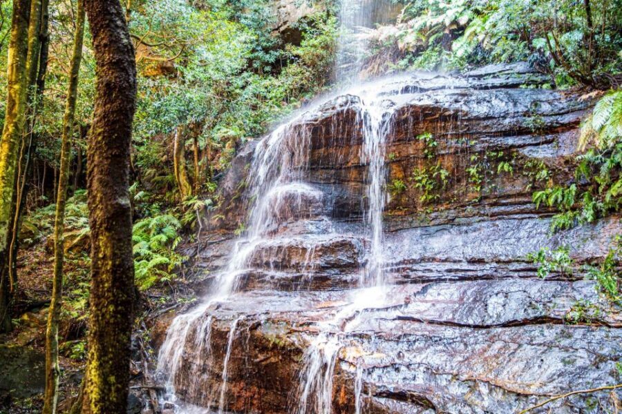 Private Blue Mountains Escape The Crowds Tour - Final Thoughts