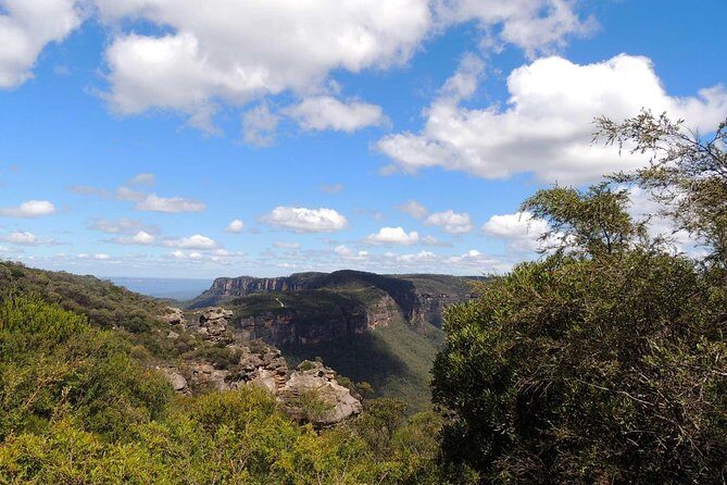 Private Blue Mountains Insider Tour from Sydney - Scenic Drive and Lookout Stops: The Heart of the Blue Mountains
