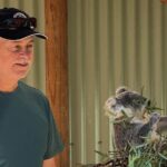 PRIVATE Blue Mountains, Scenic World & Australian Wildlife Tour - Exploring the Itinerary: A Detailed Breakdown