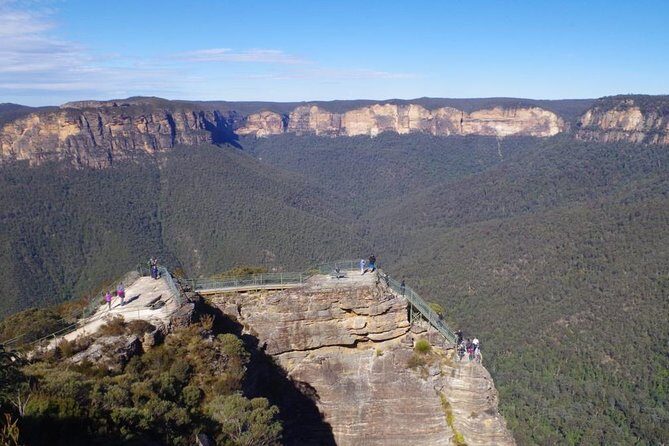 PRIVATE Blue Mountains tour & Koalas, Kangaroos, Cruise plus more - What We Love About This Tour