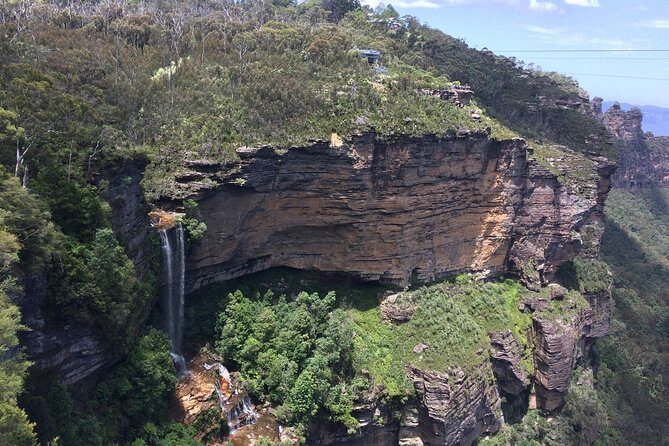 PRIVATE Blue Mountains Tour with Expert Guide - What Travelers Say: Authentic Perspectives from Reviews