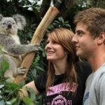 Private BlueMountains, ScenicWorld & AustralianWildlife Tour - Value for Money