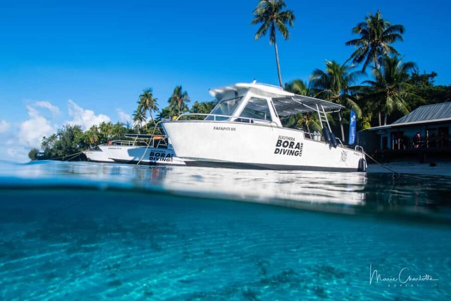 Private Boat for your Romantic Dive in Bora Bora - Who Should Consider This Tour?